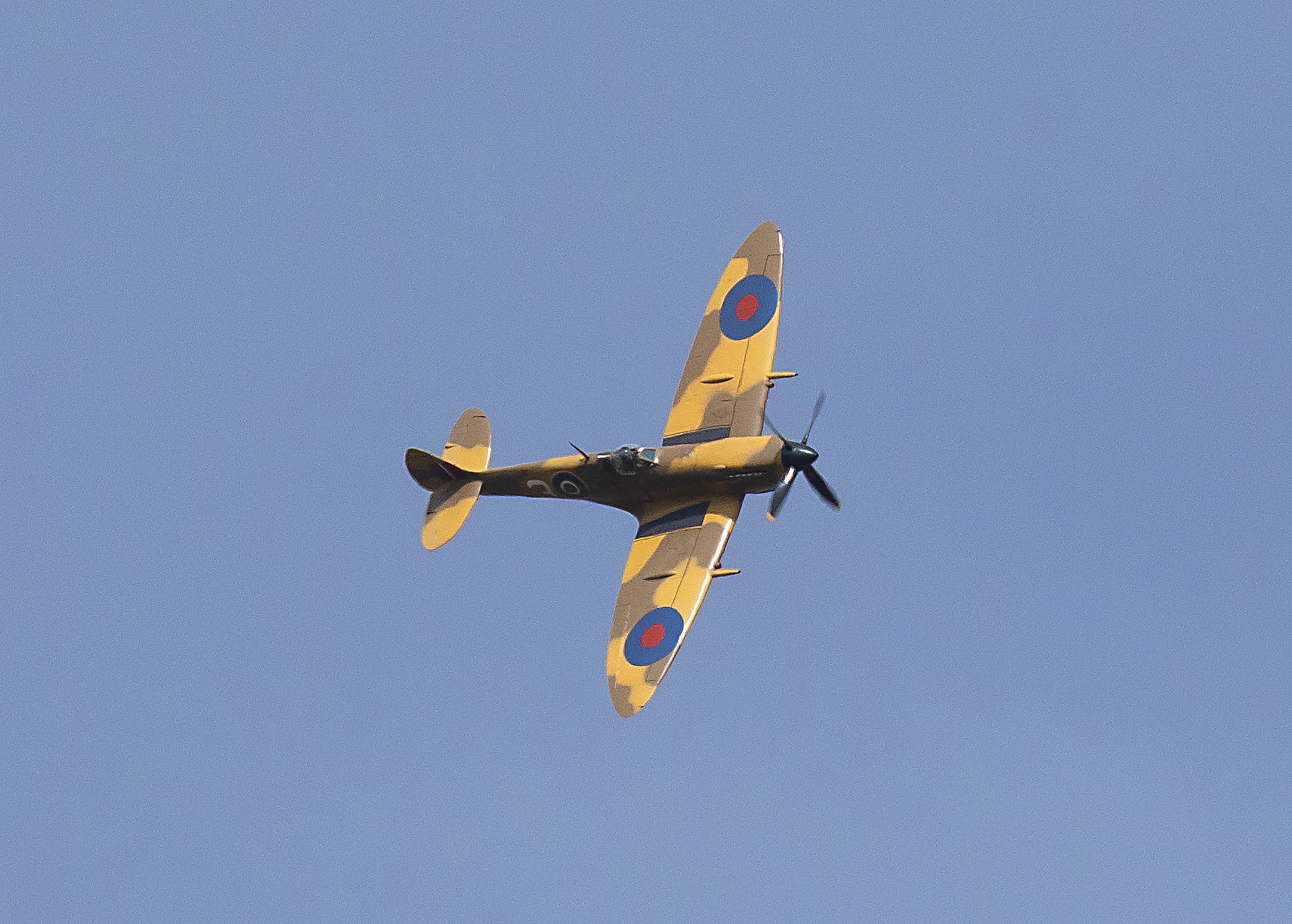 2023 Show Day Announced - Bromham Show